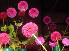 Rhestr o flodau yn y Gymraeg welsh names for flowers KS 2-4 cymraeg ail ...