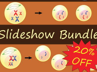 Mitosis and Meiosis Slideshow Bundle 20% Savings! | Teaching Resources