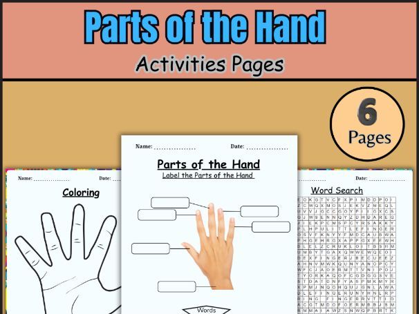 Parts of the Hand | Teaching Resources