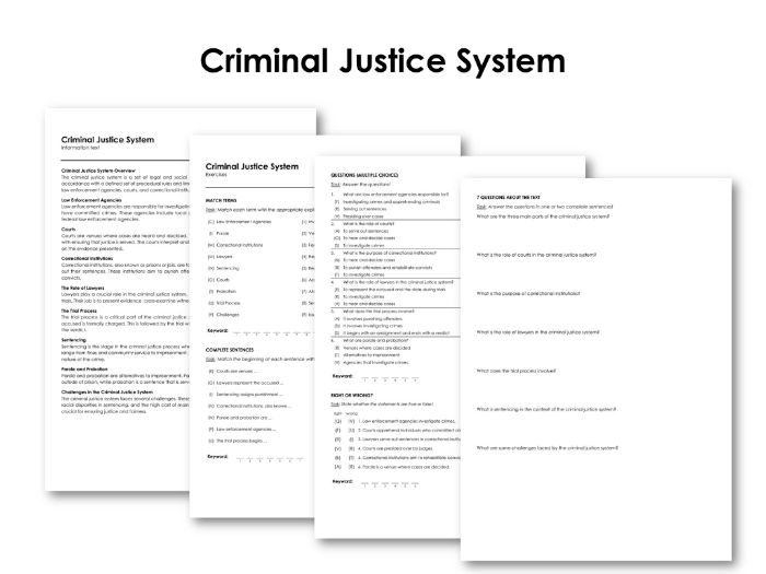 Criminal Justice System.docx | Teaching Resources
