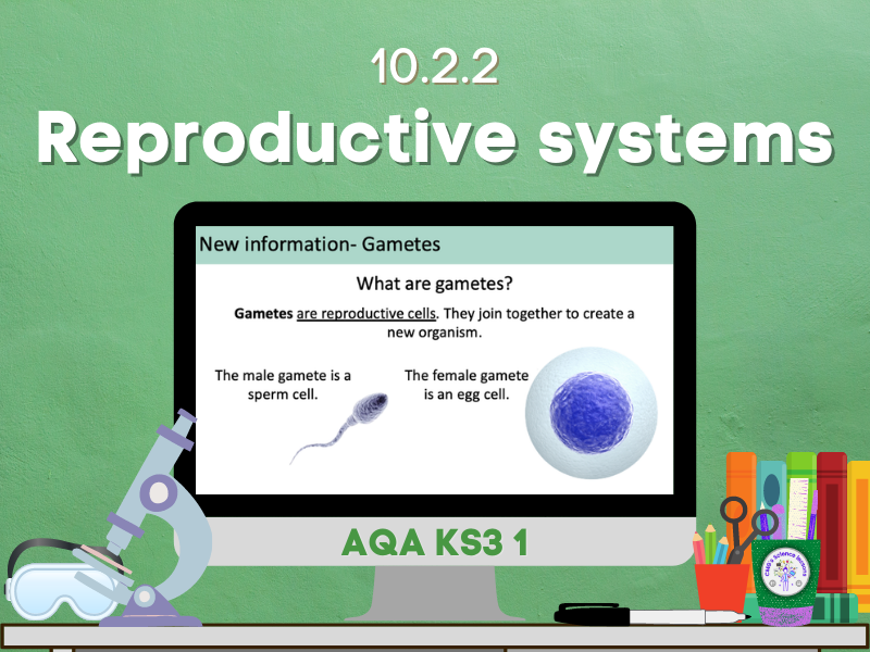 Reproductive systems | Teaching Resources