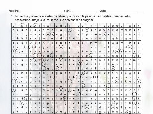 Indefinite Pronouns Wacky Trails Spanish Worksheet | Teaching Resources