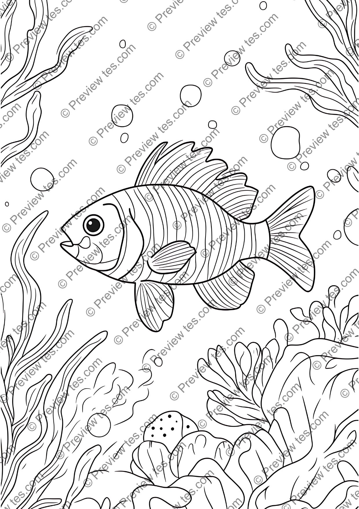 Ocean Colouring Pages | Engaging Marine Life Art Sheets for Creative ...