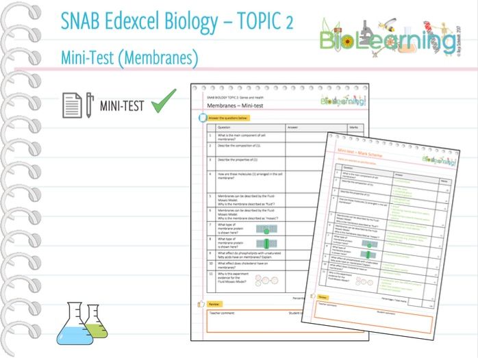 Membranes - Mini-test (KS5) | Teaching Resources