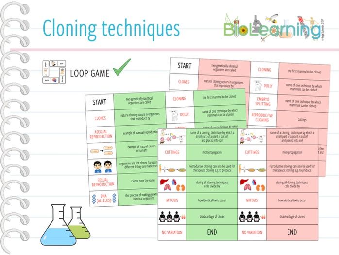 Cloning Techniques Loop Game Ks4 Teaching Resources