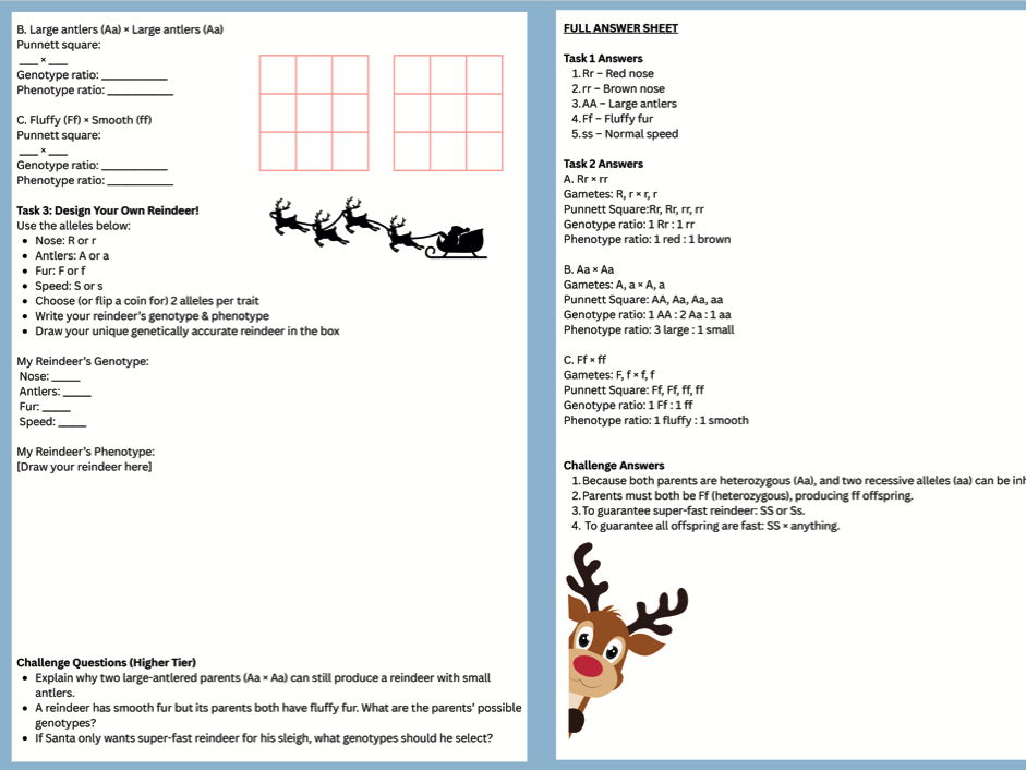 B12/Christmas Task/Reindeer Genetics/Reproduction & Genetics/GCSE ...