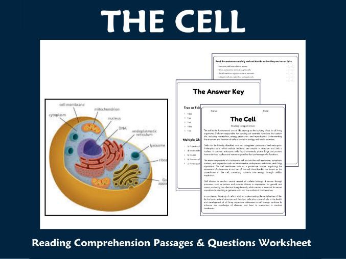 The Cell: Reading Comprehension Passages & Questions Worksheets ...