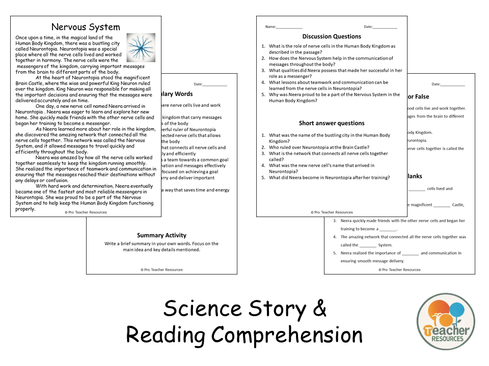 Nervous System Reading Science Story Comprehension Questions Worksheet ...