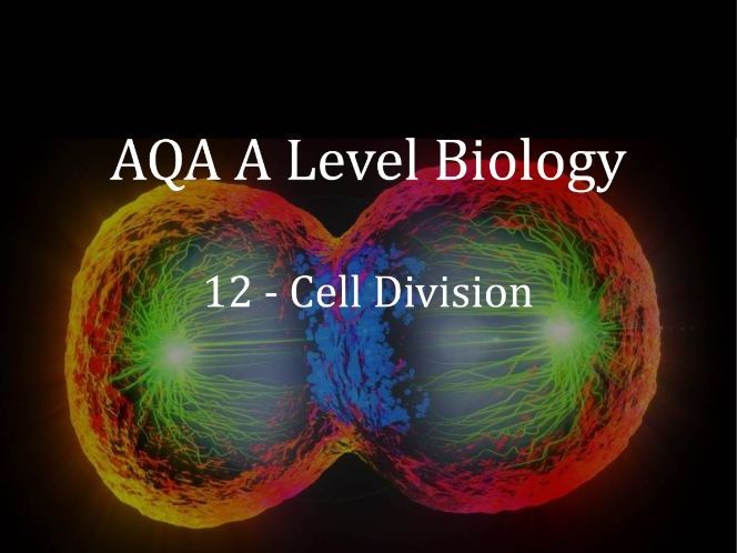AQA A Level Biology Lecture 12 - Cell Division | Teaching Resources