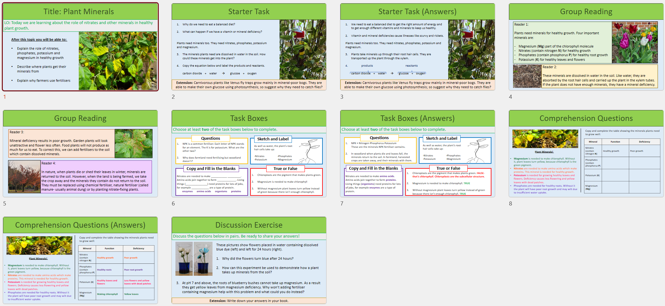 Plant Minerals ~ KS3 ~ Year 8 | Teaching Resources