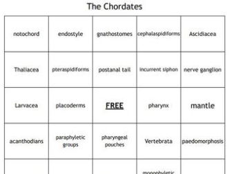 "The Chordates" Bingo for a Zoology Course | Teaching Resources