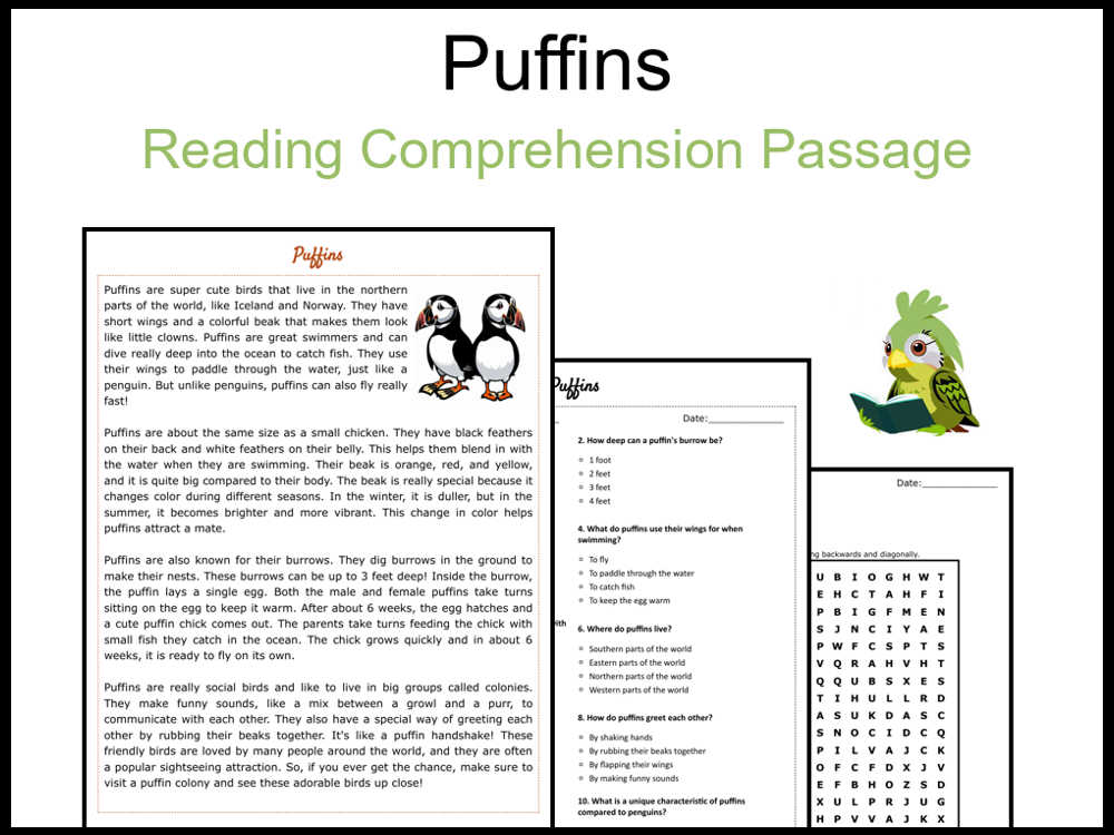 Puffins Reading Comprehension and Word Search | Teaching Resources