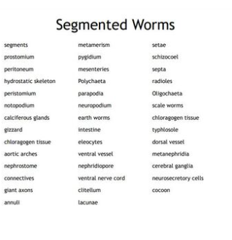 "The Segmented Worms" Bingo for a Zoology Course | Teaching Resources