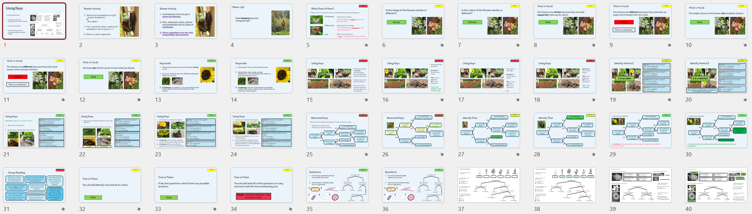 Using Keys Lesson KS2 | Teaching Resources