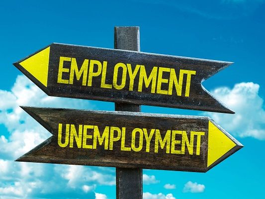 Cambridge iGCSE Economics - 4.6 Employment and unemployment | Teaching ...
