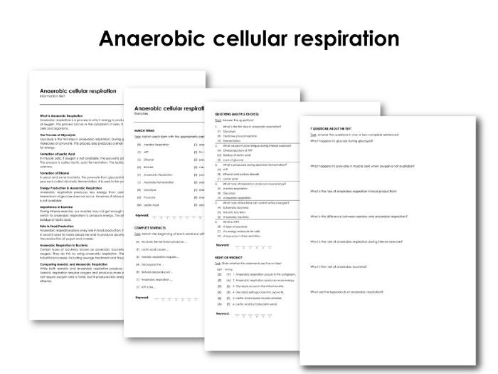 Difference Between Aerobic And Anaerobic Respiration