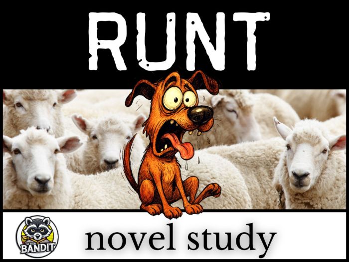 RUNT by Craig Silvey NOVEL STUDY and Reading Comprehension | Teaching ...