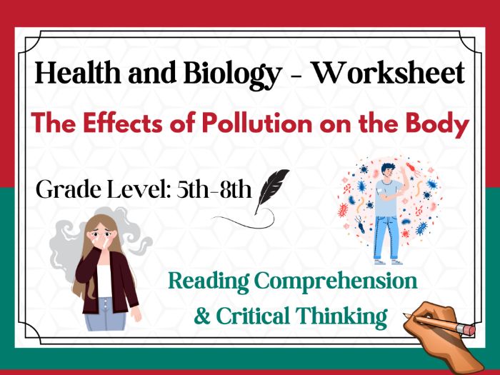 The Effects of Pollution on the Body: Reading Comprehension Passages ...