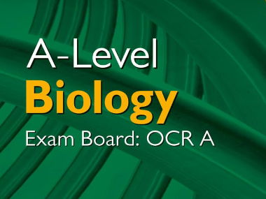 A-level OCR A Biology - Year 1 & 2 Textbook Bundle | Teaching Resources