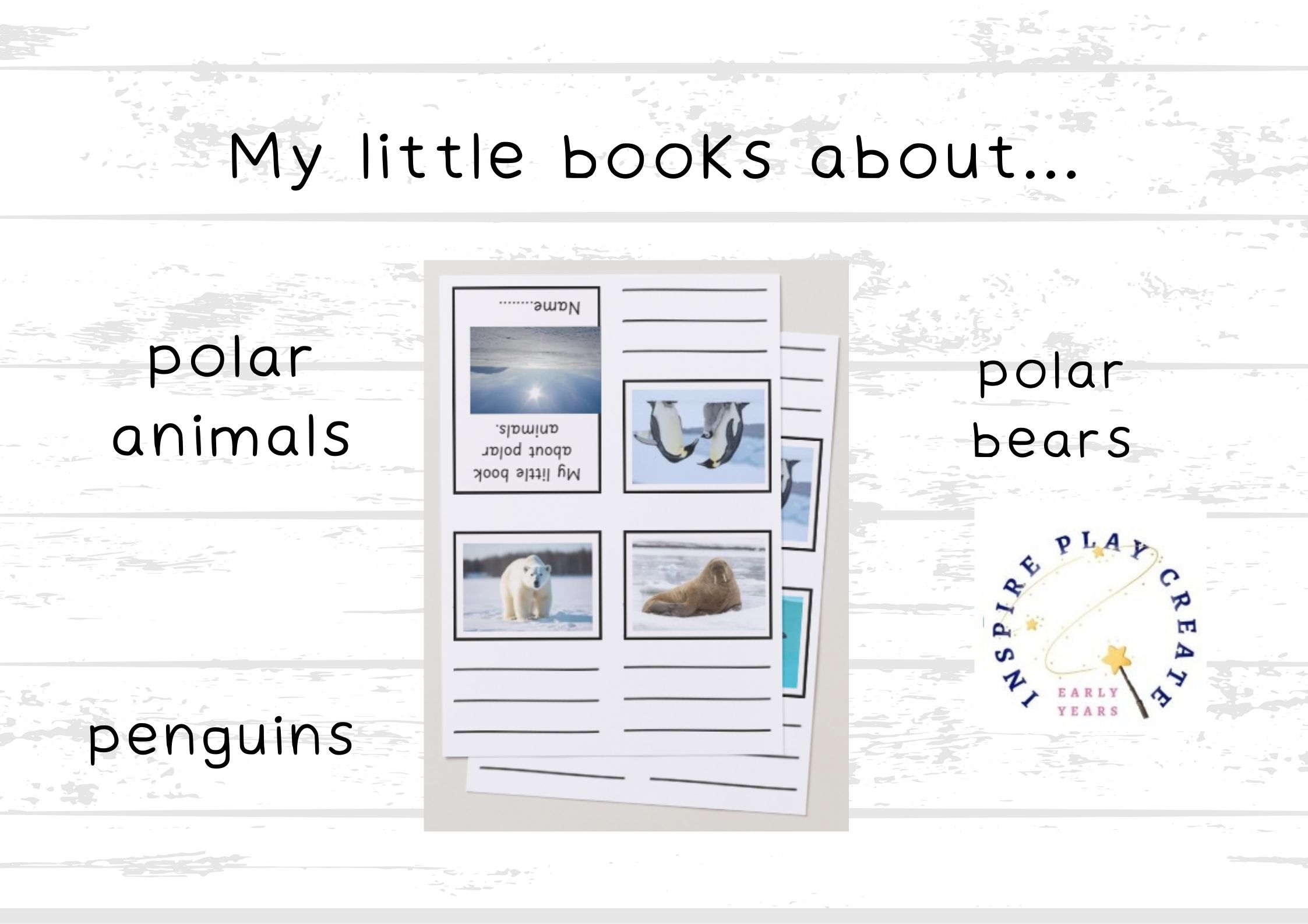 My little books about Polar Animals | Teaching Resources