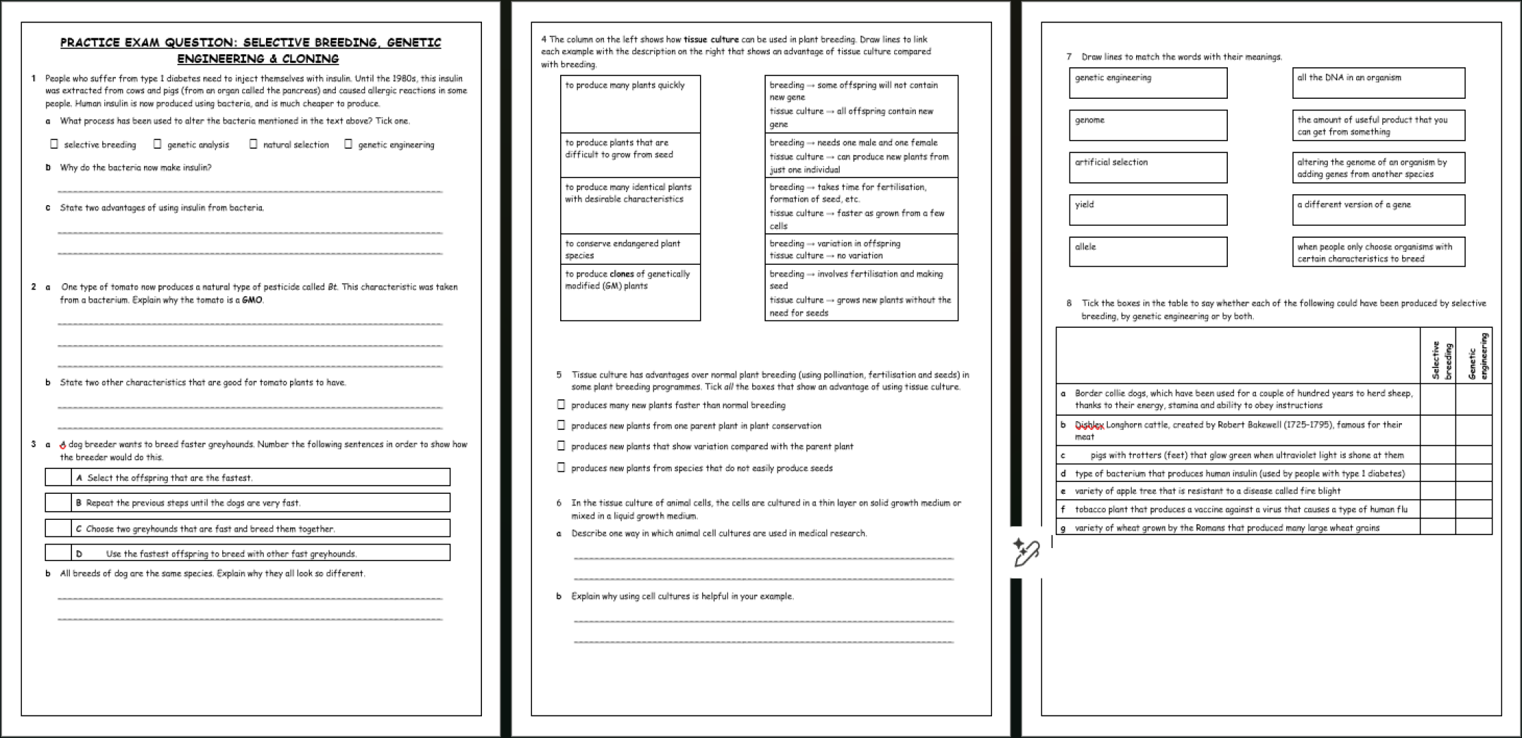 Selective Breeding, Genetic Engineering & Cloning AQA GCSE (9-1 ...