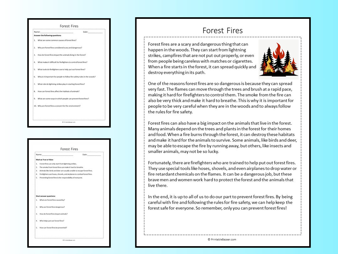 Forest Fires Reading Comprehension Passage Printable Worksheet | Teaching Resources