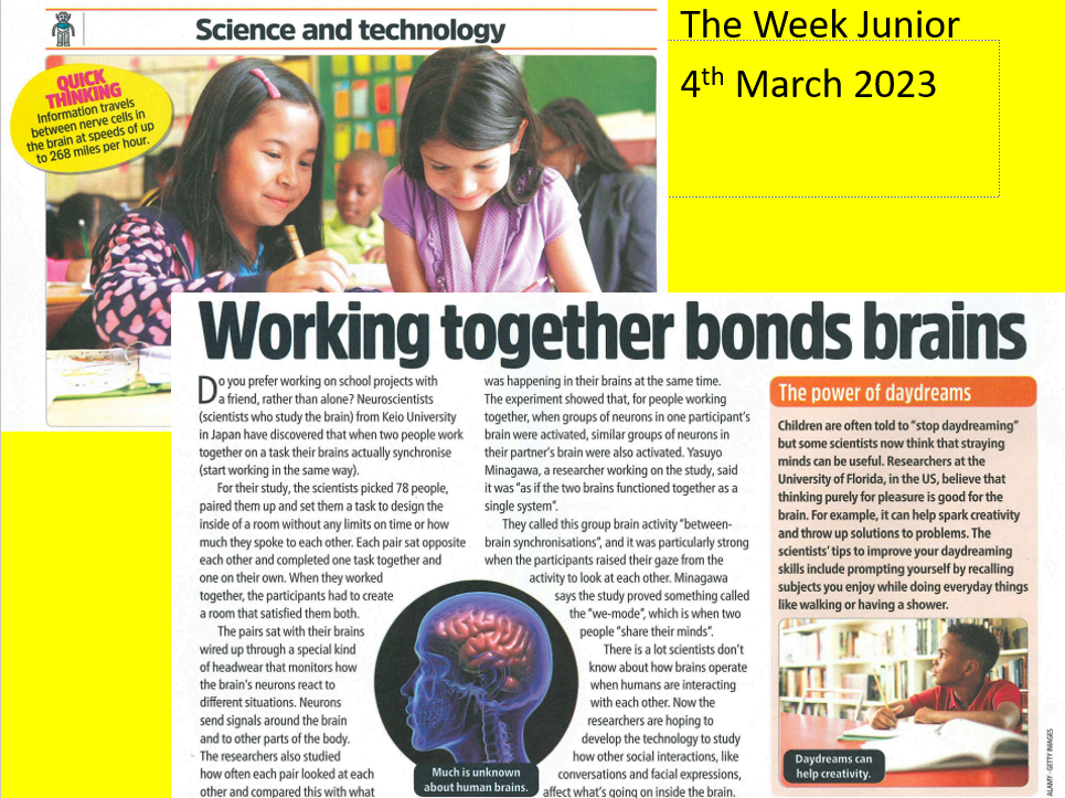 Edexcel SB2 The Brain Complete Lesson - GCSE Biology | Teaching Resources