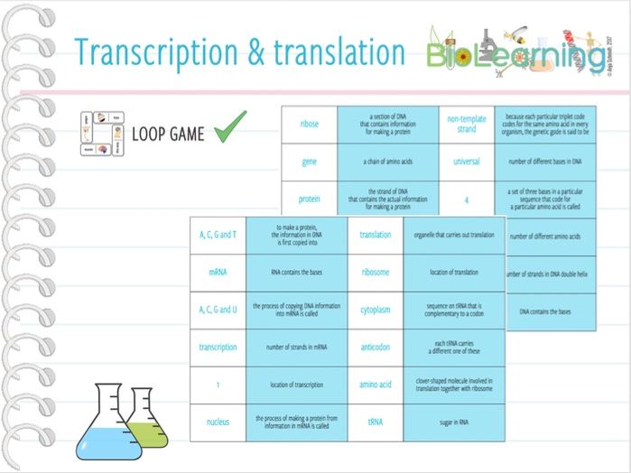 Transcription and Translation - 4x Games and activities (KS4/5 ...