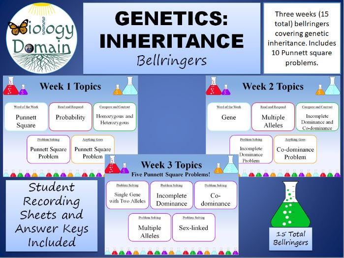 Eight weeks of Genetics Bellringers Warm Ups with Answer Key Bundle ...