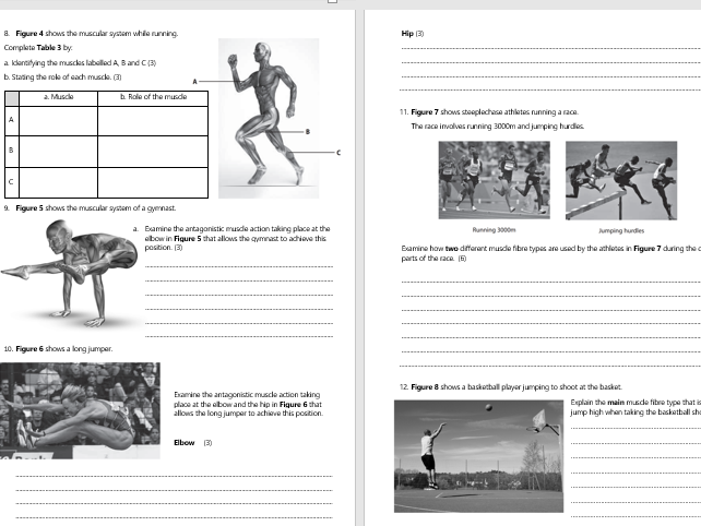Anatomy Physiology Exam Questions Answers Teaching Resources Anatomy Physiology Exam Questions Answers Teaching Resources