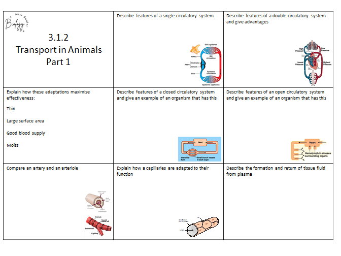 3.1.2 Transport in Animals revision grid OCR A level biology | Teaching ...