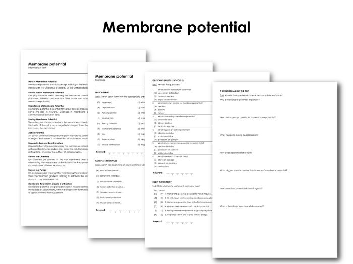 Membrane potential | Teaching Resources