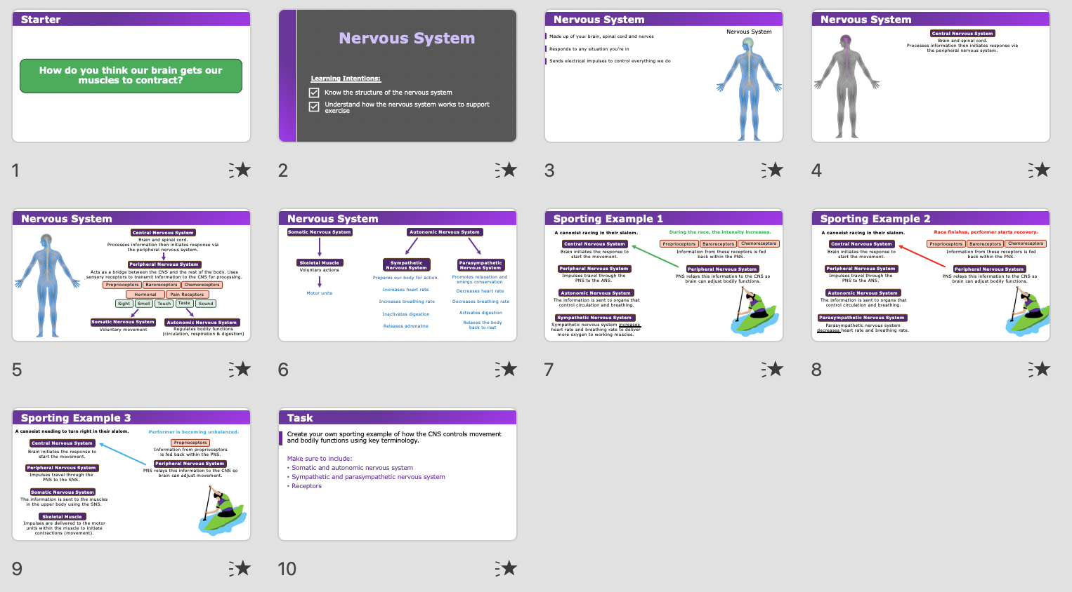 A Level PE - Nervous System | Teaching Resources