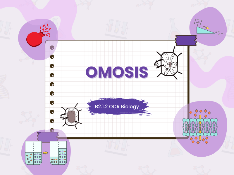 Osmosis - GCSE OCR Biology - B2.1.2 | Teaching Resources