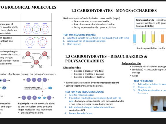 AQA A-Level Biology chapter 1 summary notes | Teaching Resources AQA A-Level Biology chapter 1 summary notes | Teaching Resources