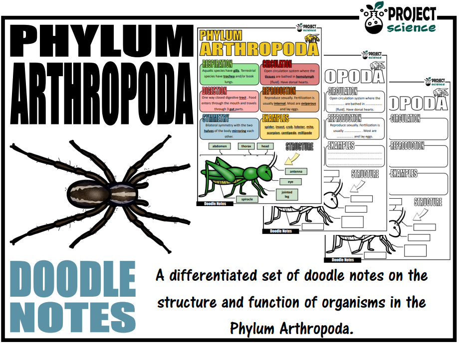 Secondary Biology Resources: Biology Lessons for KS3, KS4, GCSE | Tes