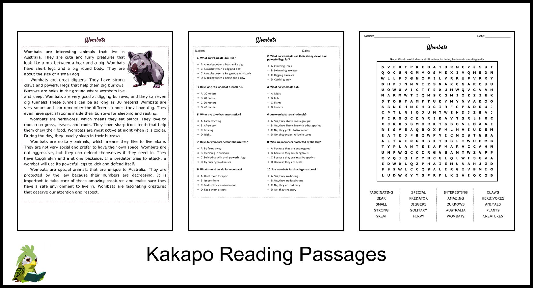 Wombats Reading Comprehension and Word Search | Teaching Resources