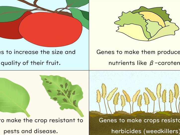 New Technology in Biology ~ KS3 ~ Bundle ~ Year 9 | Teaching Resources