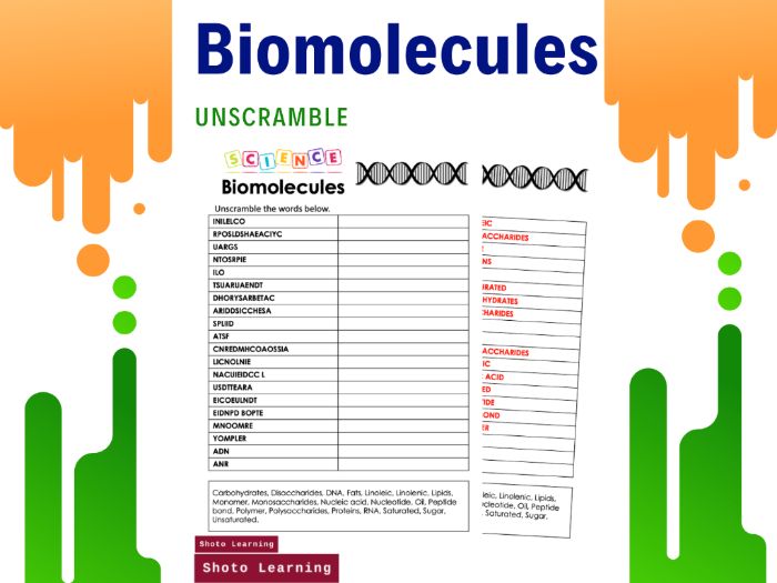 Biomolecules And Enzymes Vocabulary at Erin Love blog