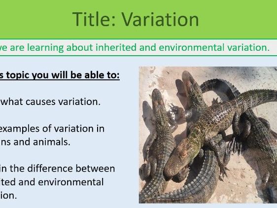 Adaptation and Inheritance ~ KS3 ~ Bundle ~ Year 8 | Teaching Resources