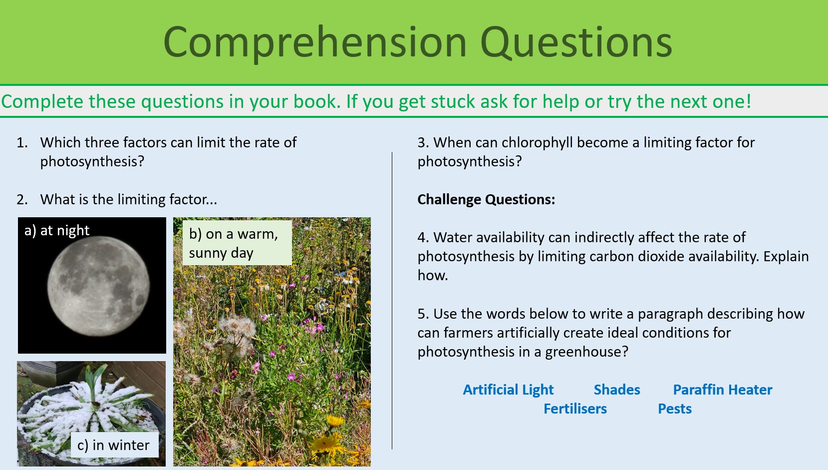 Revision Bioenergetics Topic 4 Gcse Biology Aqa Teaching Resources