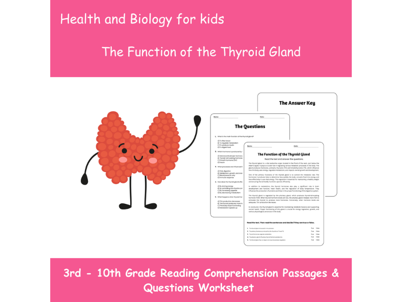 The Function of the Thyroid Gland Reading Comprehension Passages ...