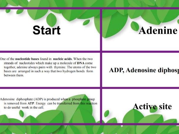 Key word Domino game Biology A Level Edexcel Revision | Teaching Resources