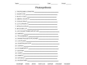 Photosynthesis Word Scramble for an Introduction to Biology Course ...