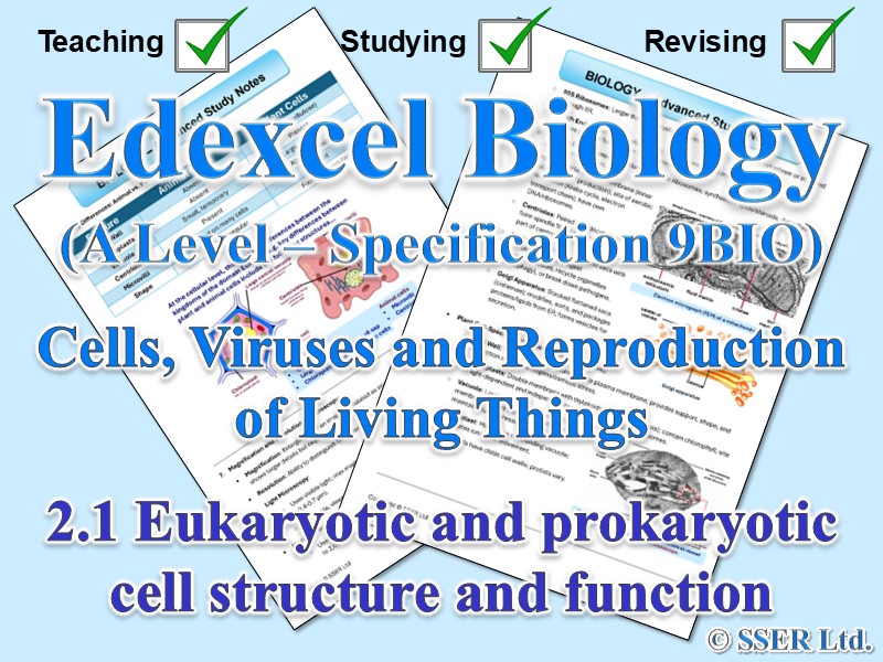 BIOA_EDX Topic Notes: 2.1 Eukaryotic and prokaryotic cell structure and ...