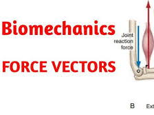 Unit 7: BTEC L3 Sport & Exercise Science: Biomechanics (Forces) - UNIT ...