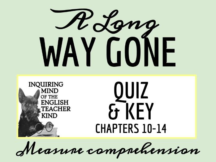 A Long Way Gone by Ishmael Beah Quiz Bundle | Teaching Resources