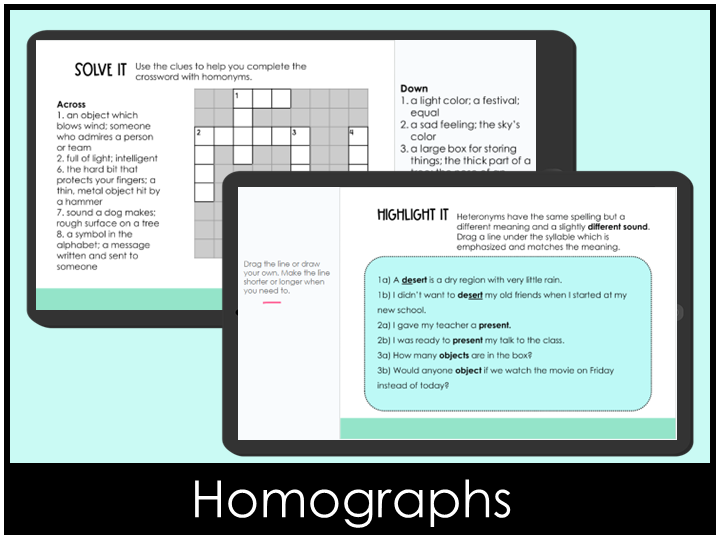 Fun Homographs Worksheets Homonyms and Heteronyms | Teaching Resources