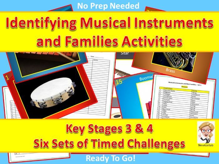 Identifying Musical Instruments and Families Activities - Key Stages 3 ...