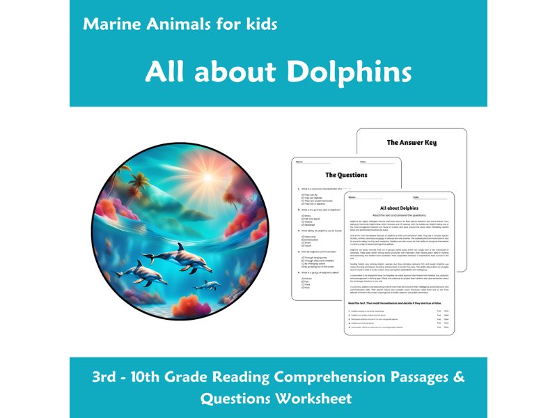 All About Dolphins Reading Comprehension Passages & Questions ...